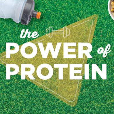 Power of Protein | More | Meal Type | Bell Institute