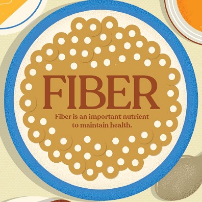 Fiber Infographic | Bell Institute